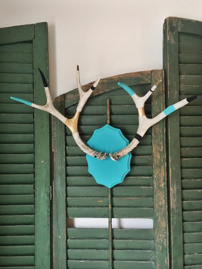 Painted Antler Rack - Slumbering Alligator